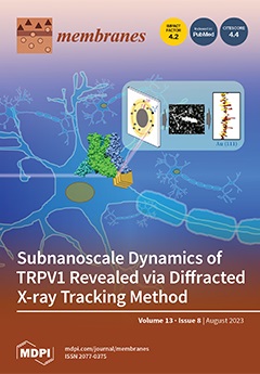 Dr. Ma's Research Lab